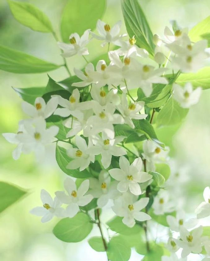 草木山川，是大自然最令人魂牽夢繞的處所 - 女人 - iNewsDB 日日新聞．掌握每日新鮮事