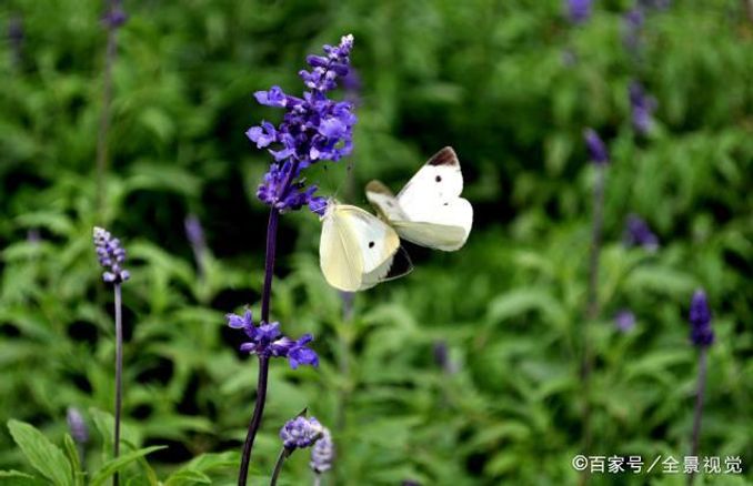 真正讓女人主動炙熱愛你的方式，其實是“溫柔” - 女人 - iNewsDB 日日新聞．掌握每日新鮮事