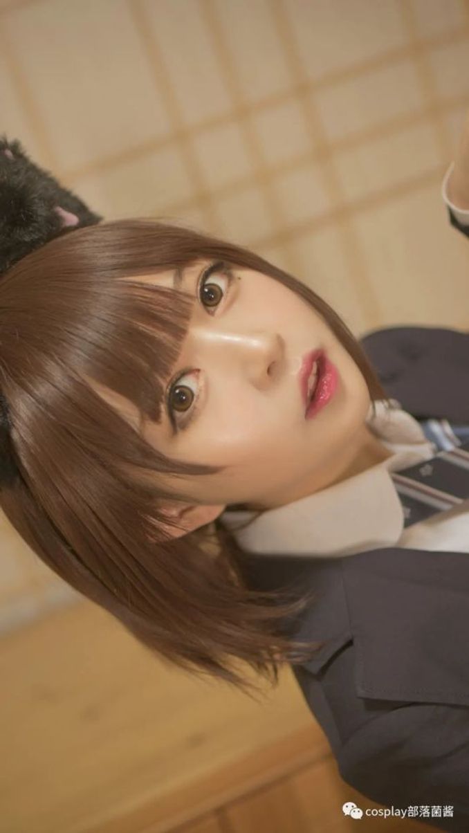 JK少女：也許你家裡還缺一隻貓 - 動漫 - iNewsDB 日日新聞．掌握每日新鮮事